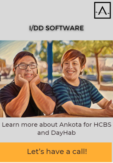 What is I/DD Software?